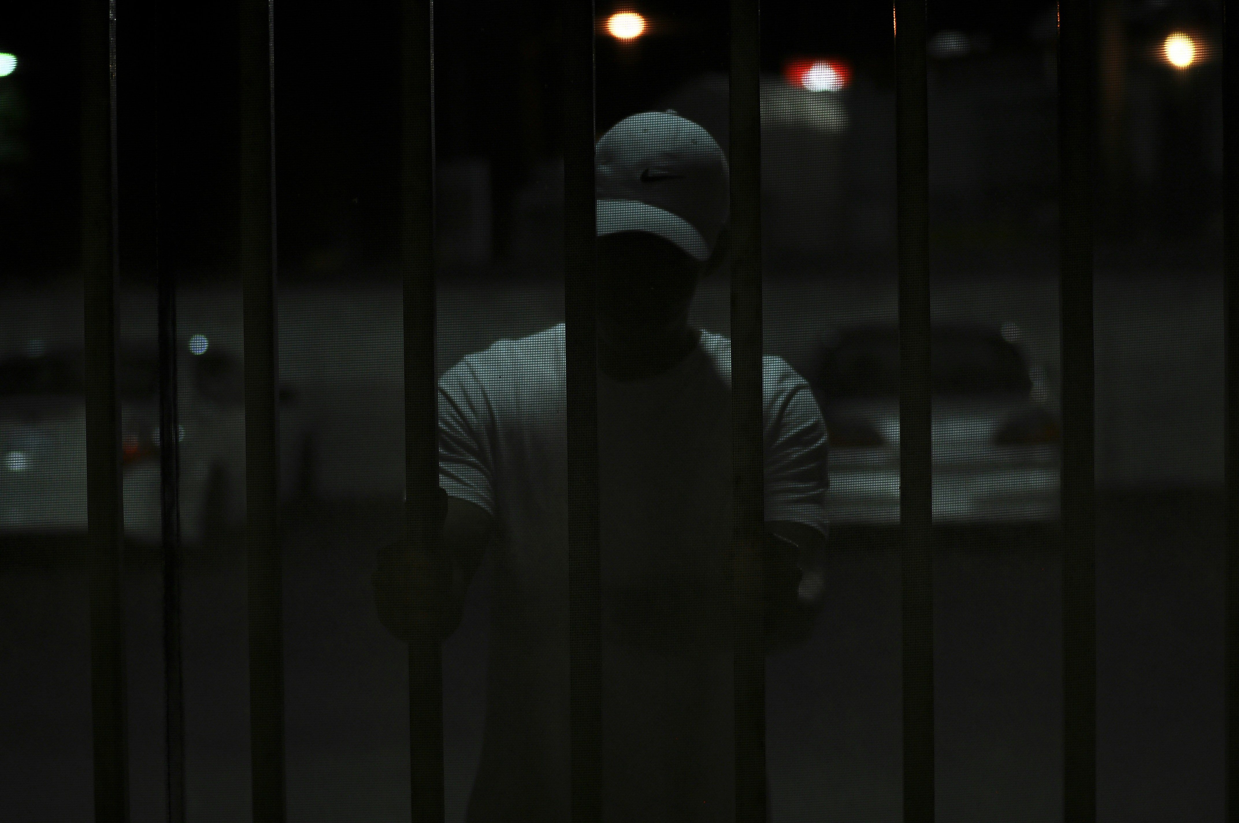 Delmis remissvar om utvisning på grund av brott - Delmi