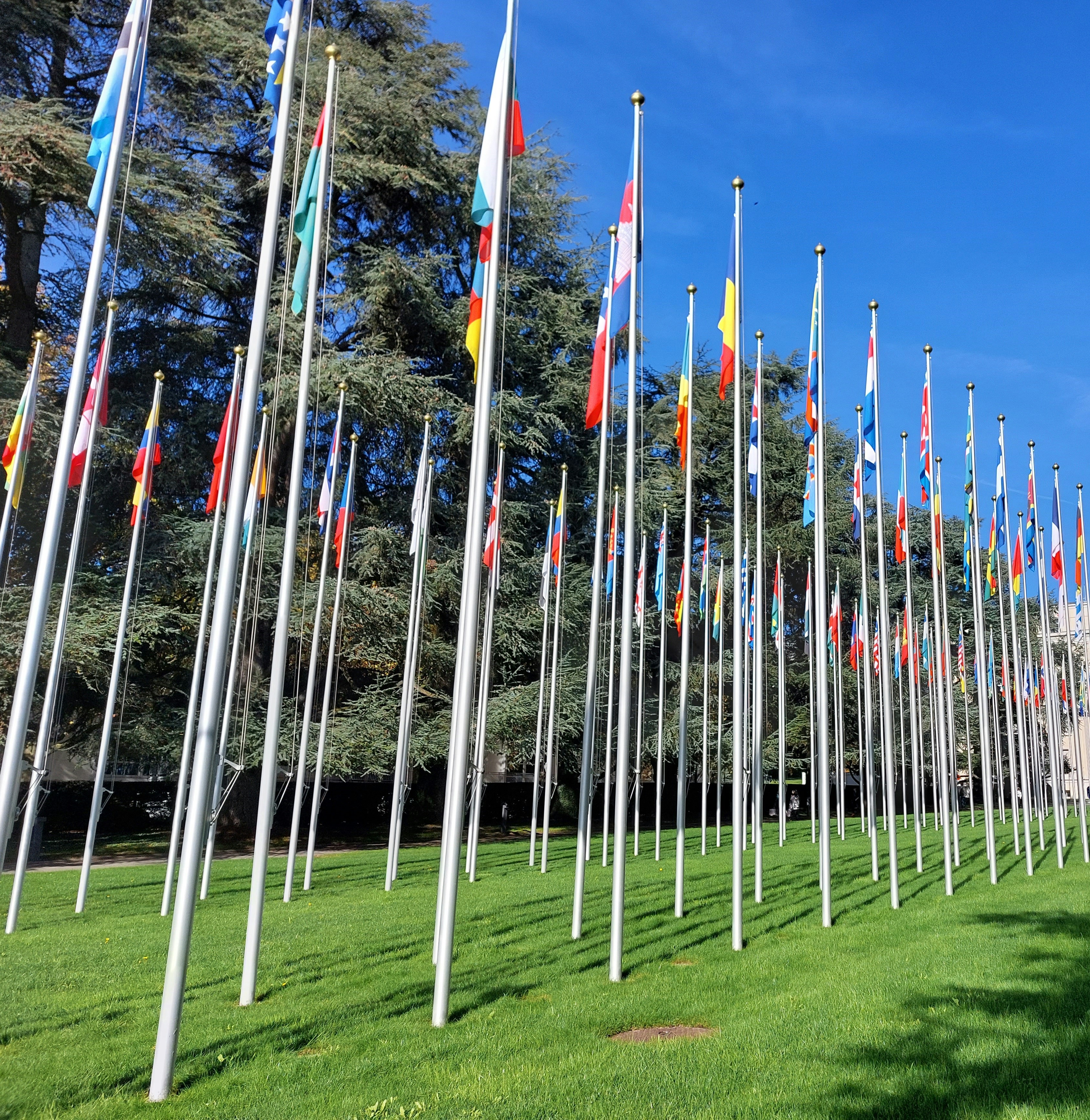 Return Migration Diplomacy: On Return and Readmission Cooperation ...