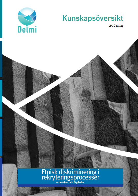 Etnisk diskriminering i rekryteringsprocesser - Delmi