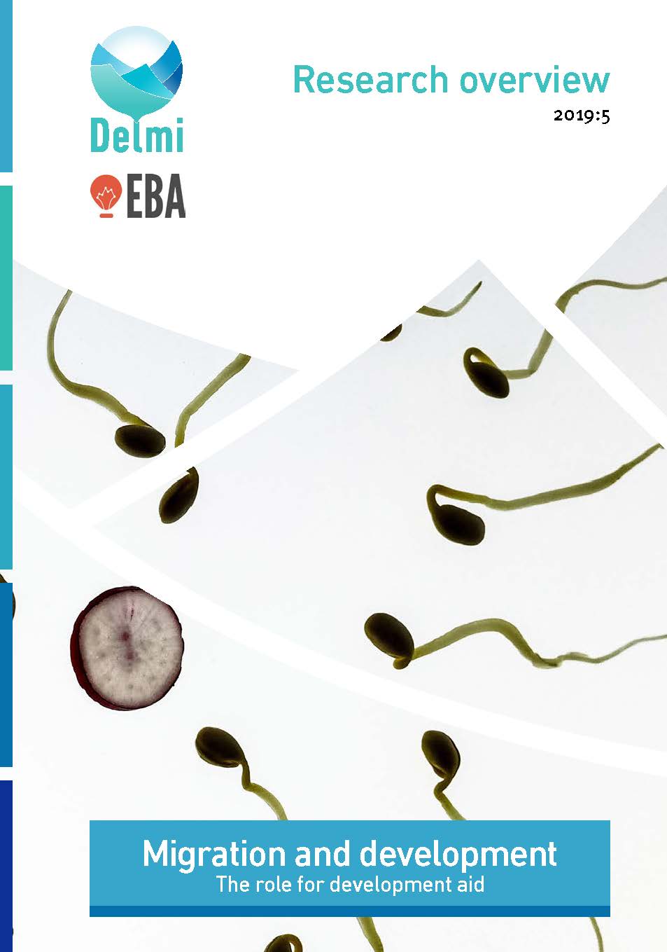 Migration och utveckling - Delmi