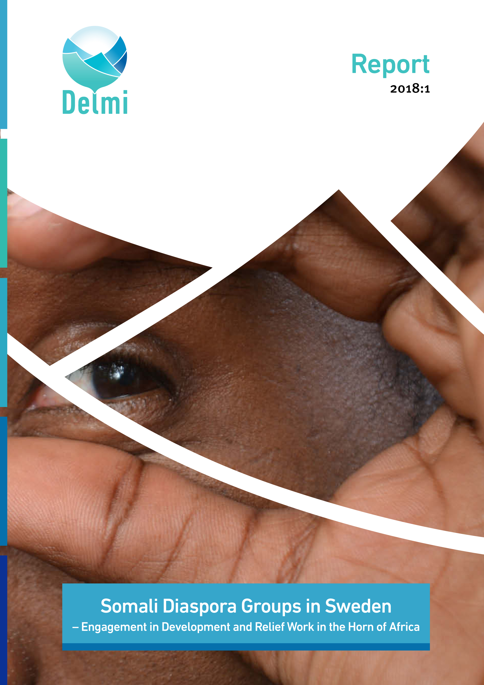 Den svensksomaliska diasporan - Delmi