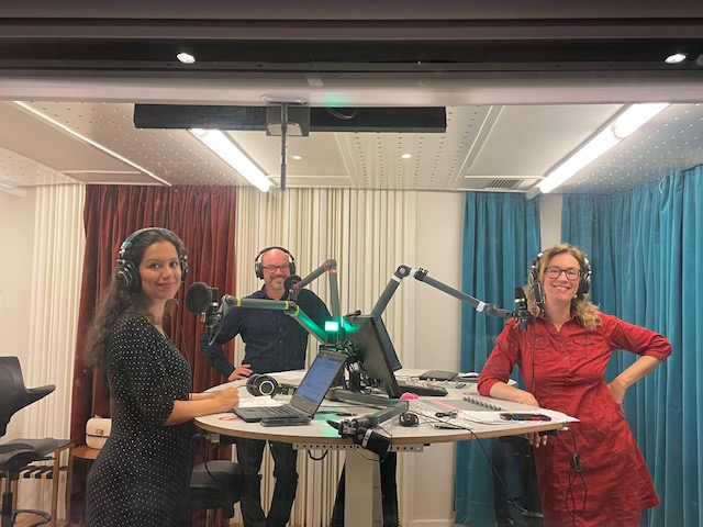 Avsnitt 17. Valdeltagande och representation - Delmi